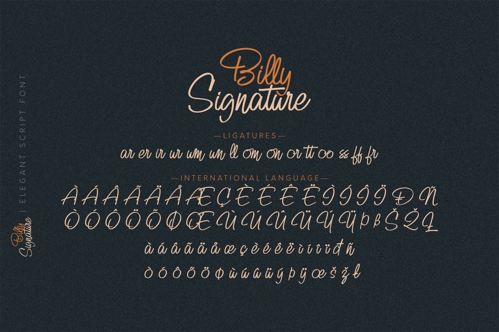 Billy Signature – Omotu Studio